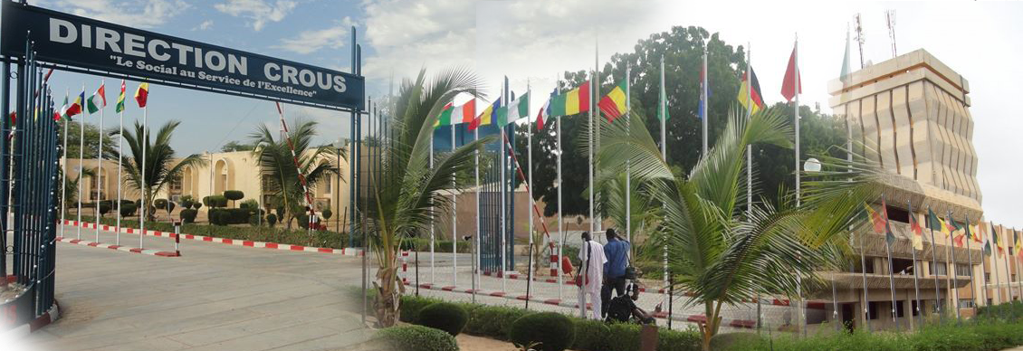 contact - Le Social au Service de l'Excellence